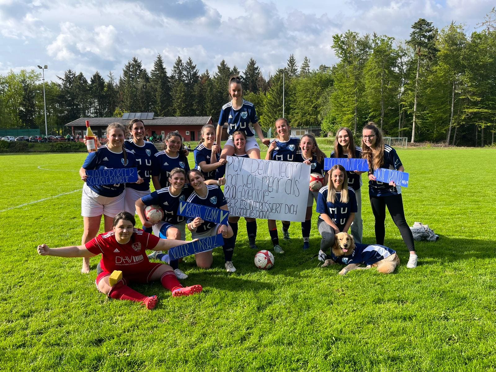 SSV Walddorf | Offizieller Onlineshop